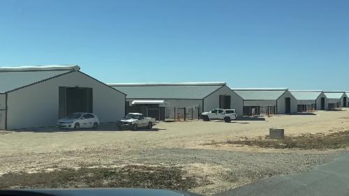 Profile | Stephen Theodore Racing