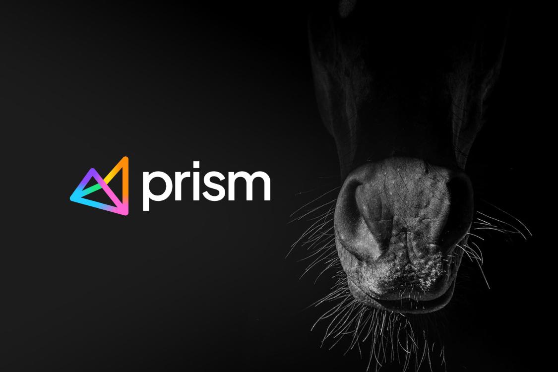 Latest News on the Prism Platform | Prism