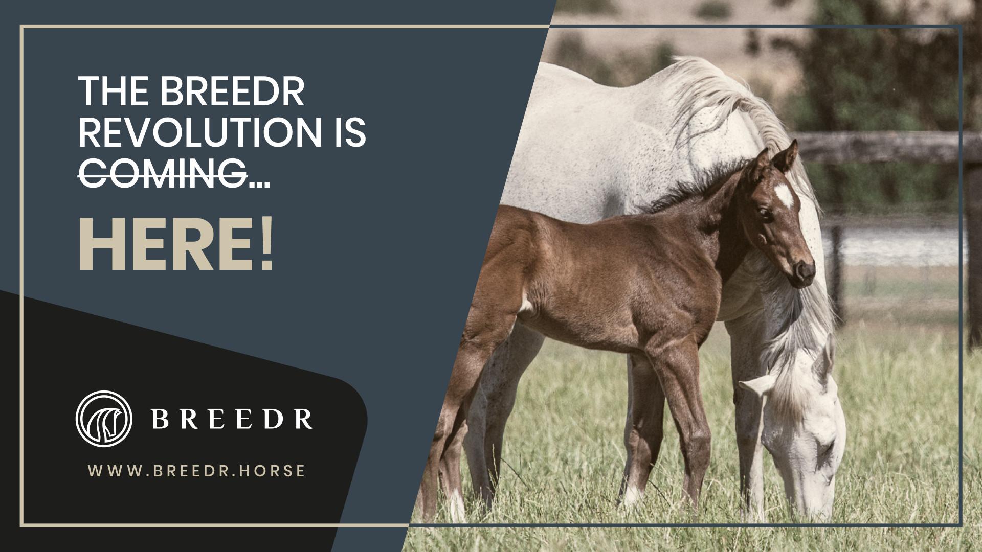 Latest News on the Prism Platform | Prism